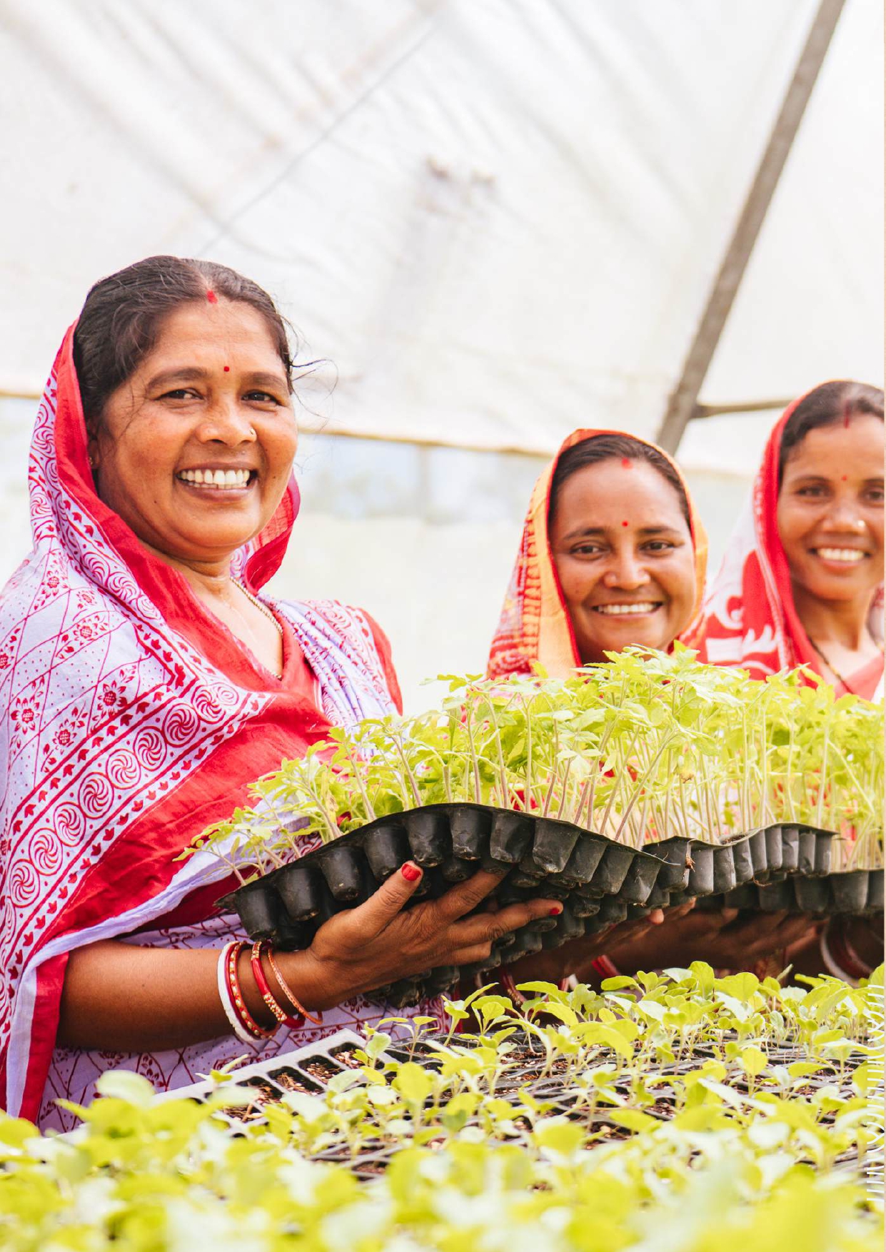 Home | Odisha Livelihoods Mission