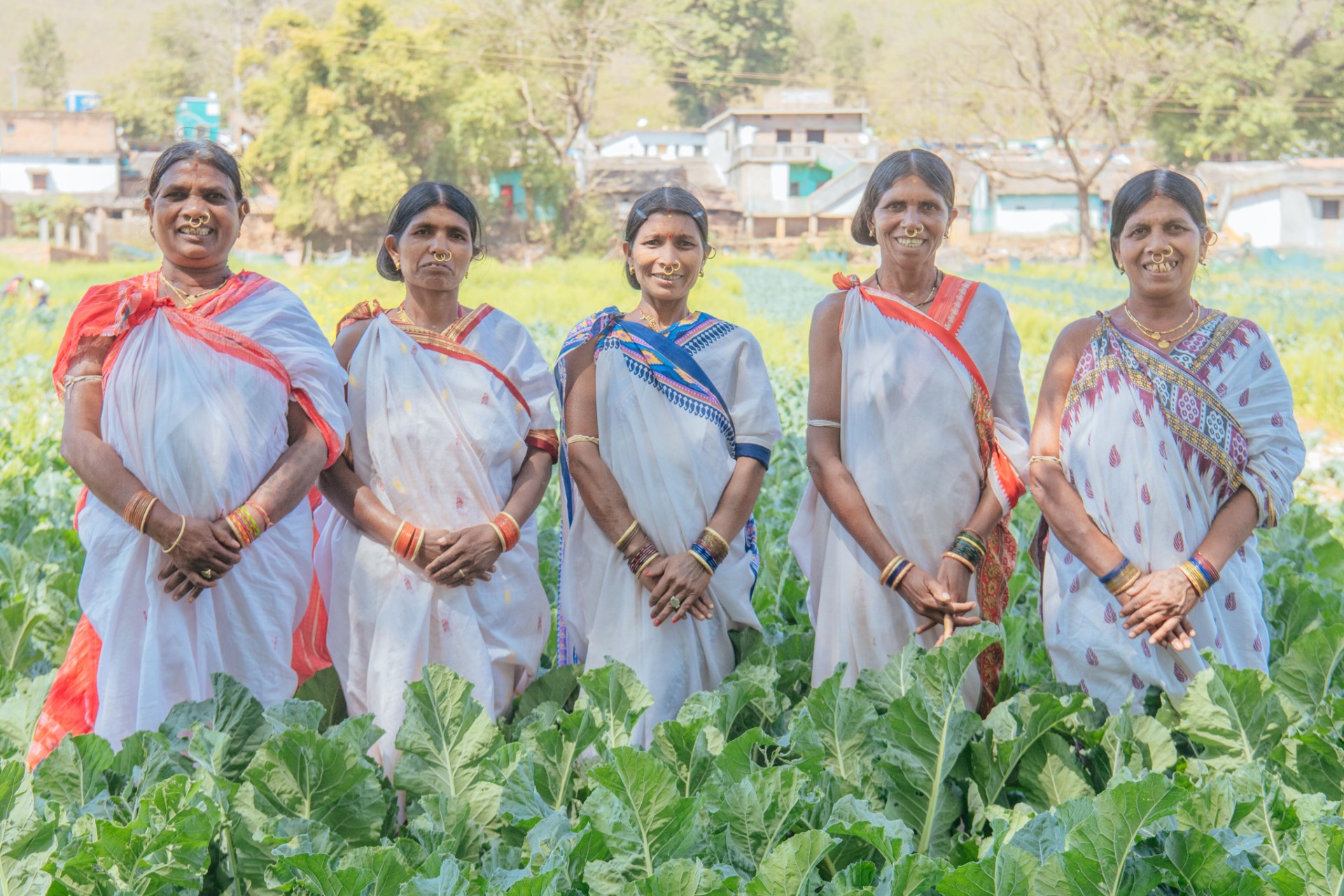 Home | Odisha Livelihoods Mission